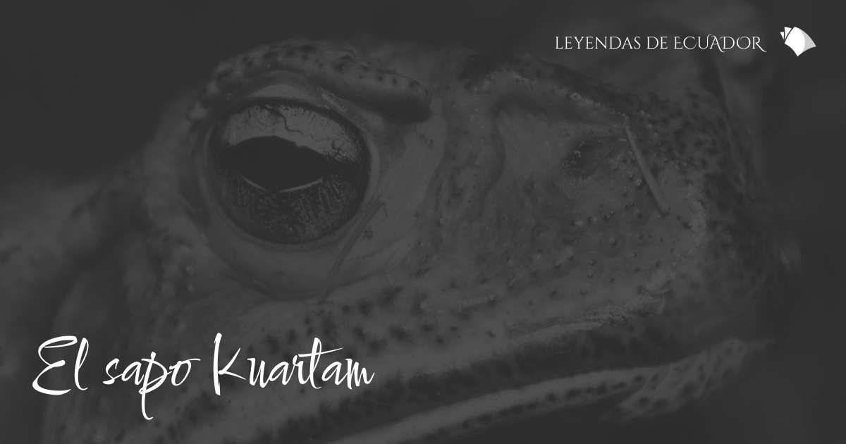 El sapo Kuartam | Leyendas de la Amazonía Ecuatoriana