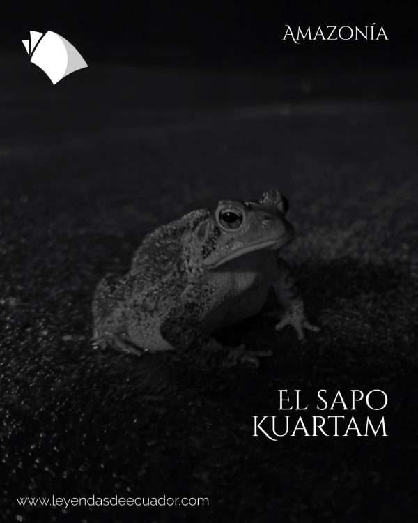 El sapo Kuartam | Leyendas de la Amazonía Ecuatoriana